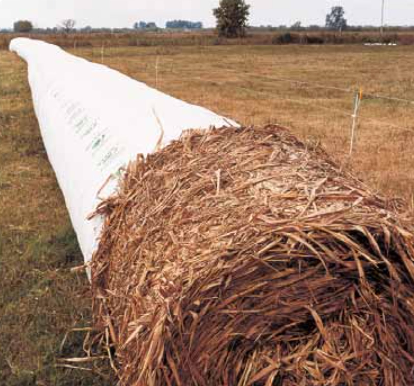 Silo Bolsa - Cavajani
